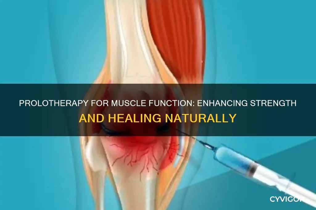 Prolotherapy For Muscle Function: Enhancing Strength And Healing ...