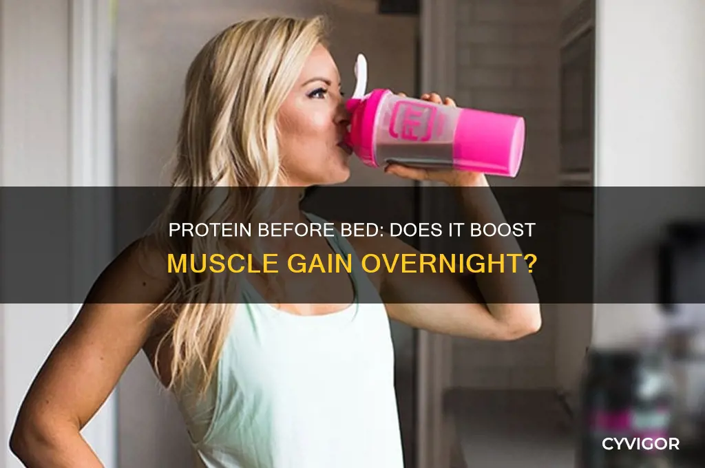Protein Before Bed: Does It Boost Muscle Gain Overnight? | CyVigor