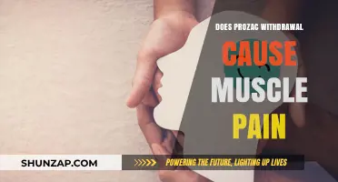Progesterone's Painful Side Effects: Muscle And Joint Impact | CyVigor