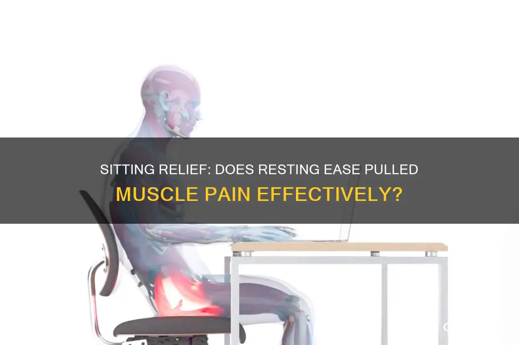 Sitting Relief: Does Resting Ease Pulled Muscle Pain Effectively? | CyVigor