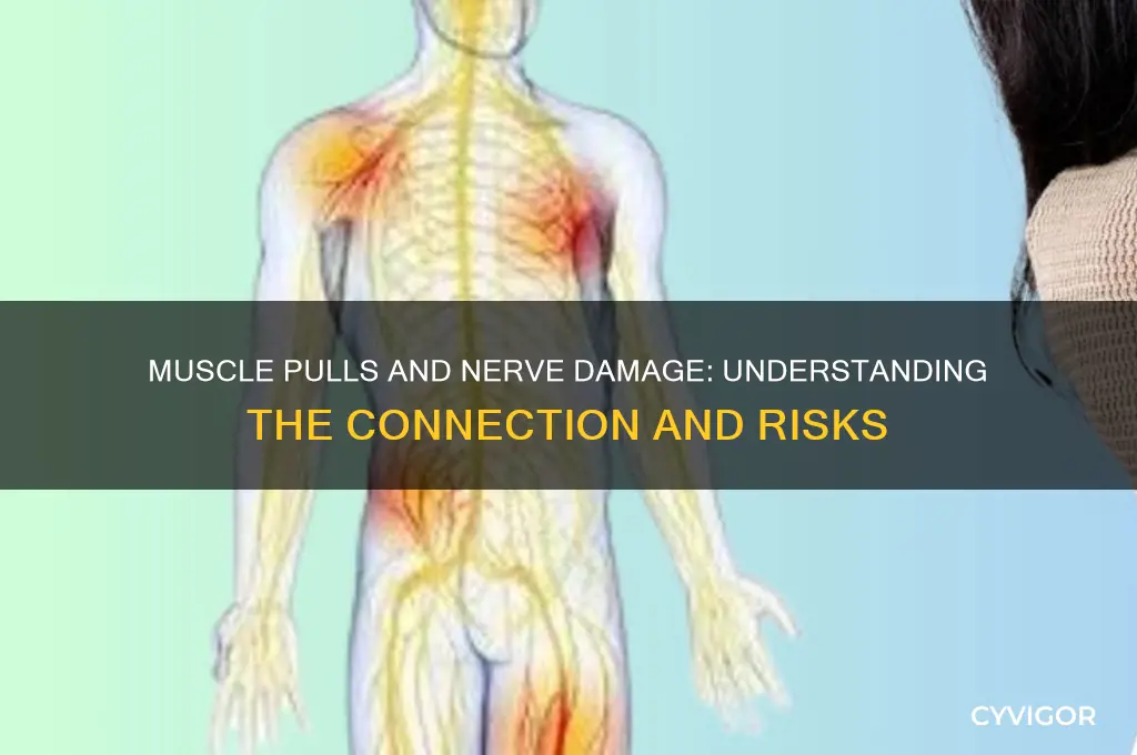 Muscle Pulls And Nerve Damage: Understanding The Connection And Risks ...