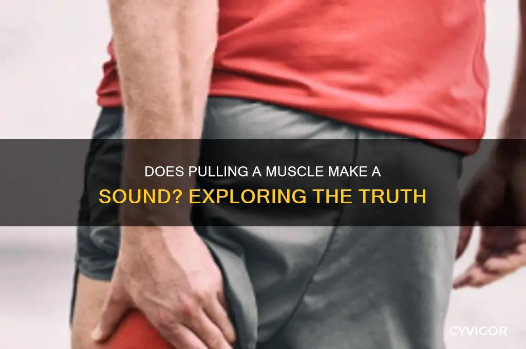 Does Pulling A Muscle Make A Sound? Exploring The Truth | CyVigor