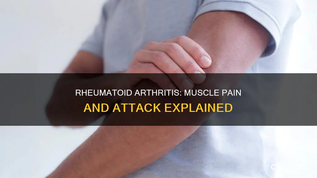 Rheumatoid Arthritis: Muscle Pain And Attack Explained | CyVigor