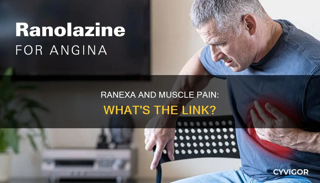 Ranexa And Muscle Pain: What's The Link? | CyVigor