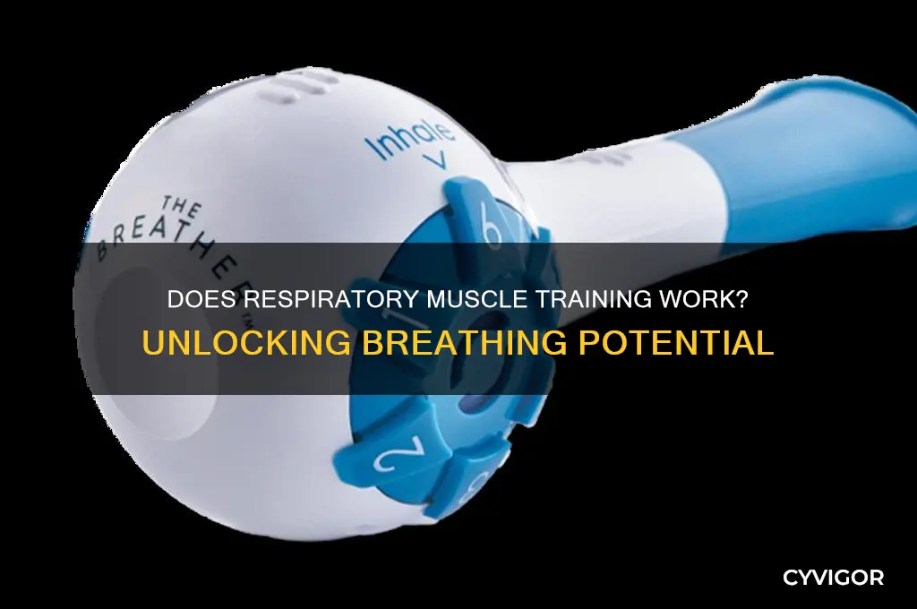 Does Respiratory Muscle Training Work? Unlocking Breathing Potential ...