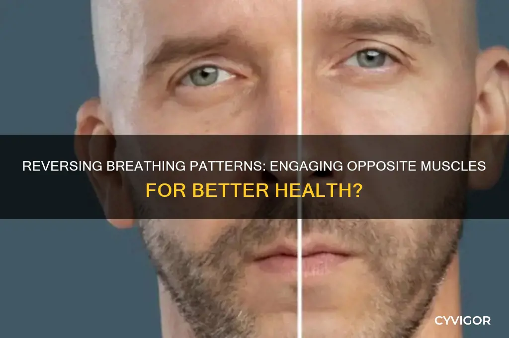 Reversing Breathing Patterns: Engaging Opposite Muscles For Better ...