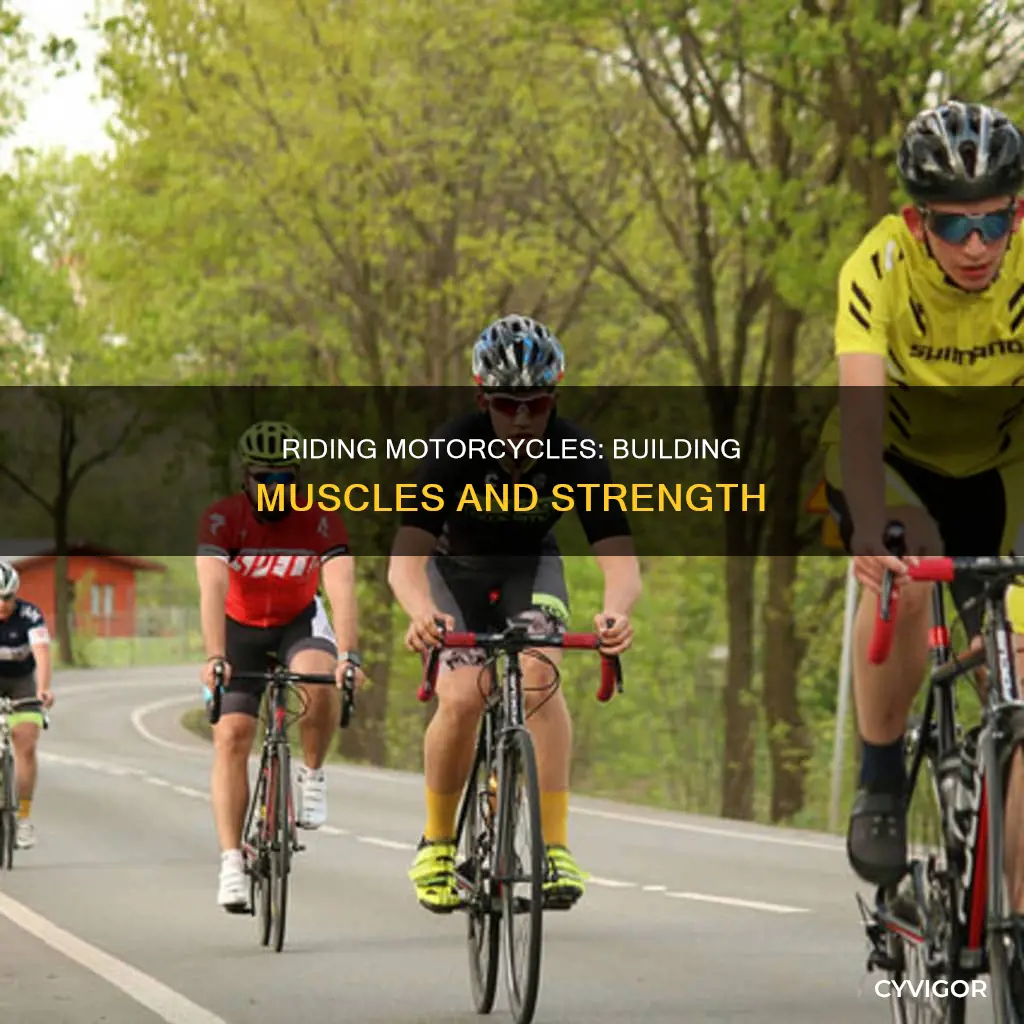 Riding Motorcycles: Building Muscles And Strength | CyVigor