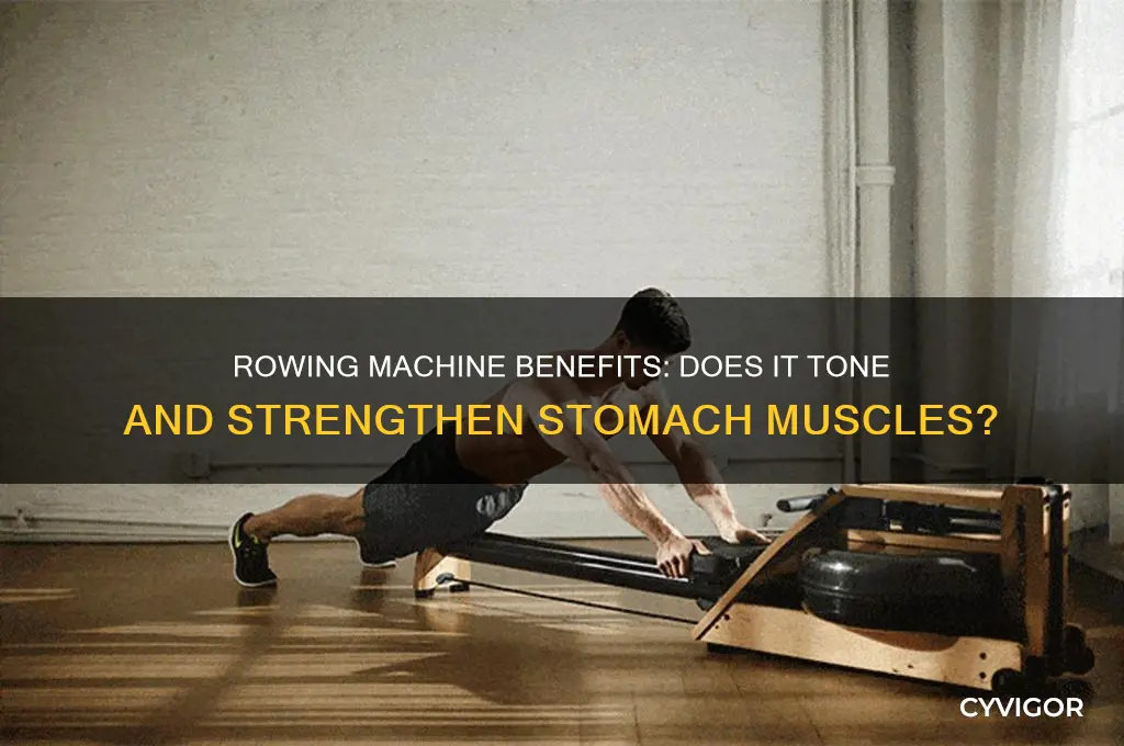 Rowing Machine Benefits: Does It Tone And Strengthen Stomach Muscles ...