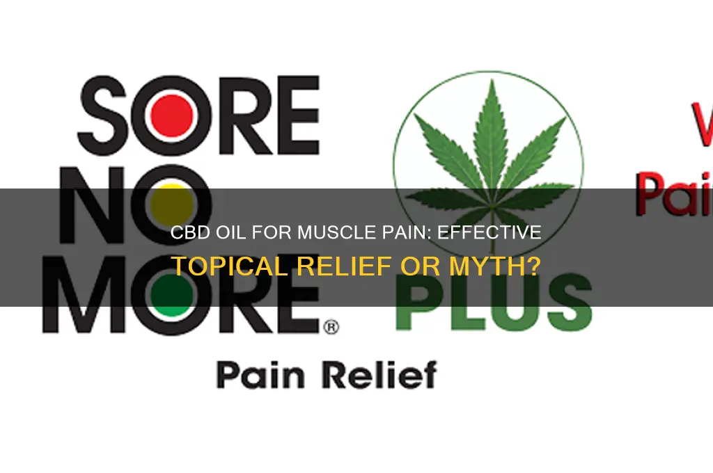 Cbd Oil For Muscle Pain: Effective Topical Relief Or Myth? | CyVigor