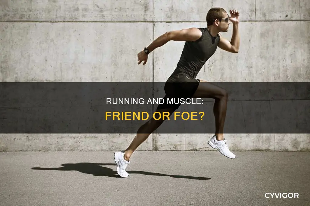 Running And Muscle: Friend Or Foe? | CyVigor