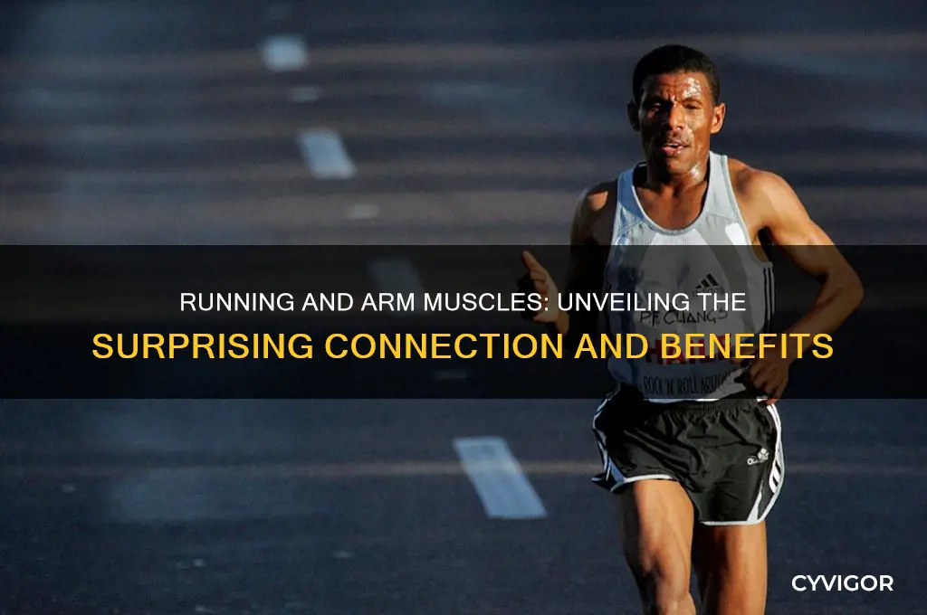 Running And Arm Muscles: Unveiling The Surprising Connection And ...