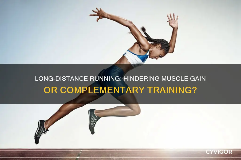 Long-Distance Running: Hindering Muscle Gain Or Complementary Training ...