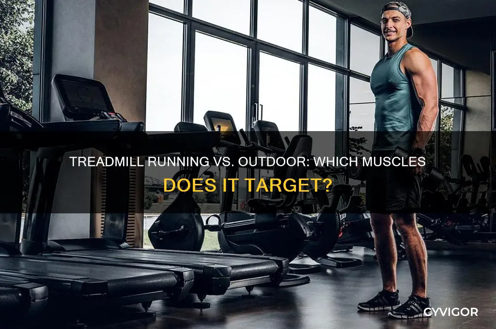 Treadmill Running Vs. Outdoor: Which Muscles Does It Target? | CyVigor