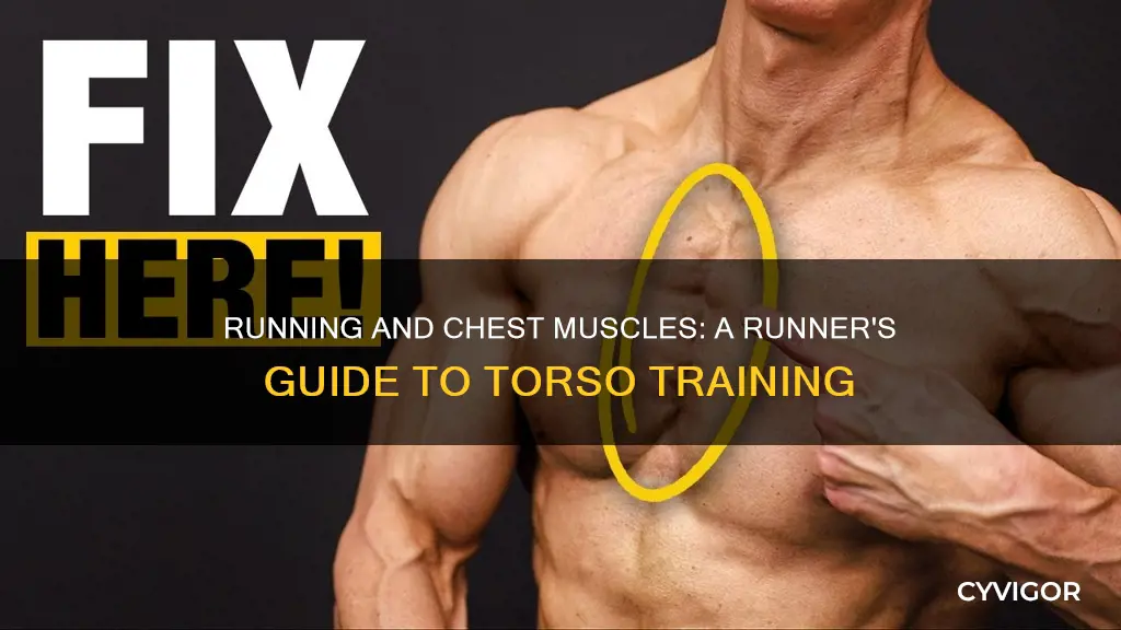 Running And Chest Muscles: A Runner's Guide To Torso Training | CyVigor