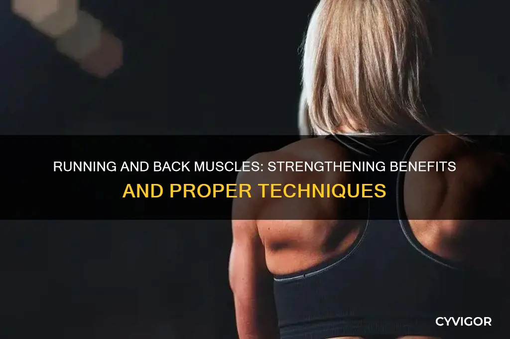Running And Back Muscles: Strengthening Benefits And Proper Techniques ...