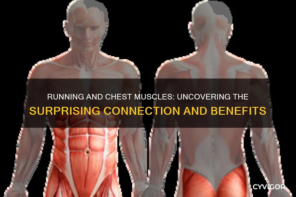 Running And Chest Muscles: Uncovering The Surprising Connection And ...