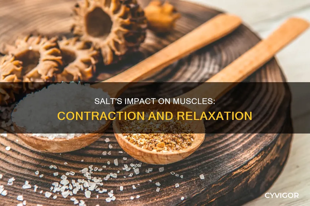 Salt's Impact On Muscles: Contraction And Relaxation | CyVigor