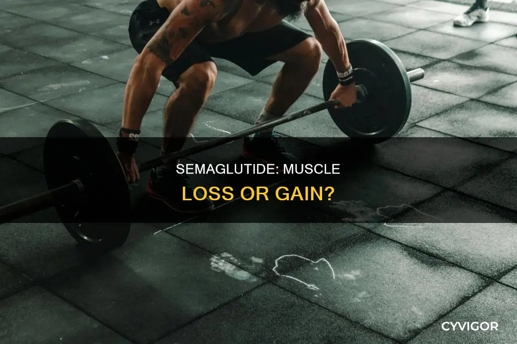 Semaglutide: Muscle Loss Or Gain? | CyVigor