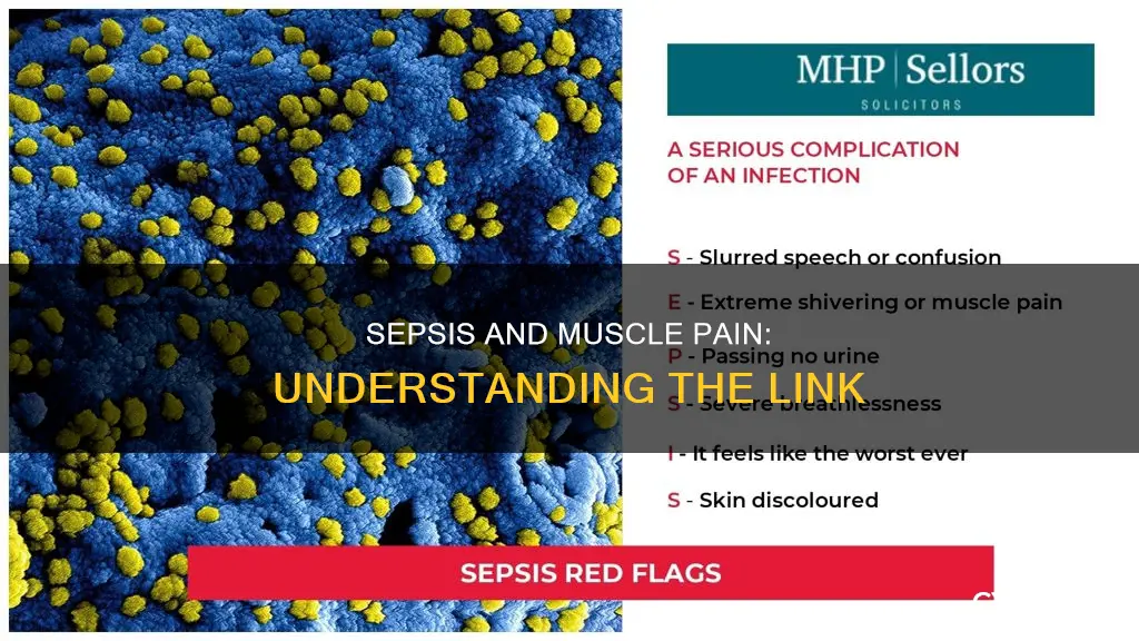 Sepsis And Muscle Pain: Understanding The Link | CyVigor
