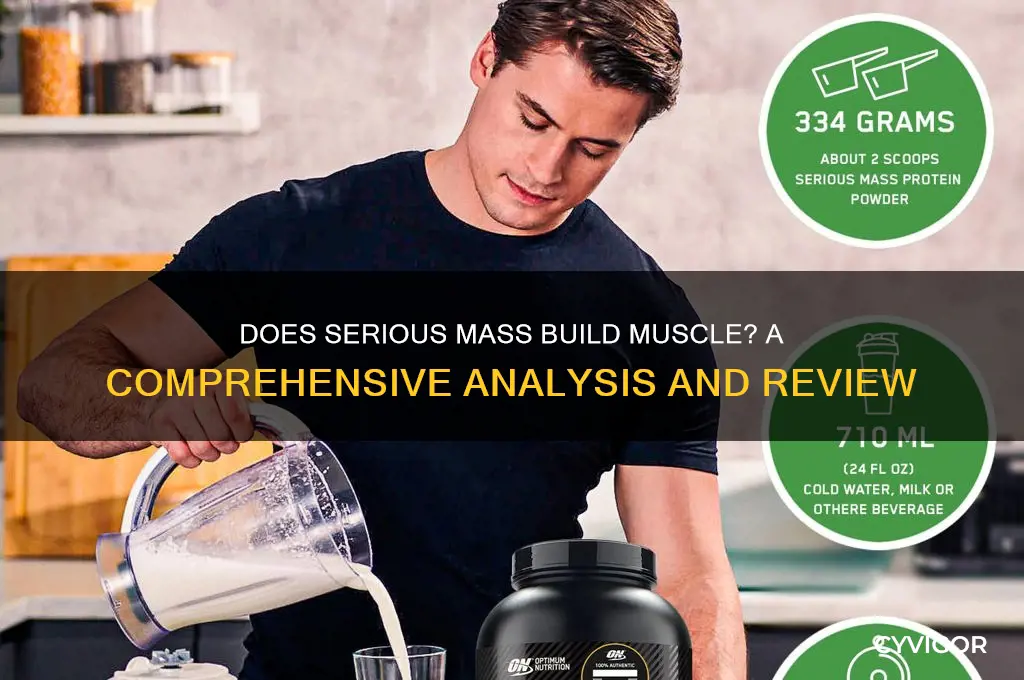 Does Serious Mass Build Muscle? A Comprehensive Analysis And Review ...