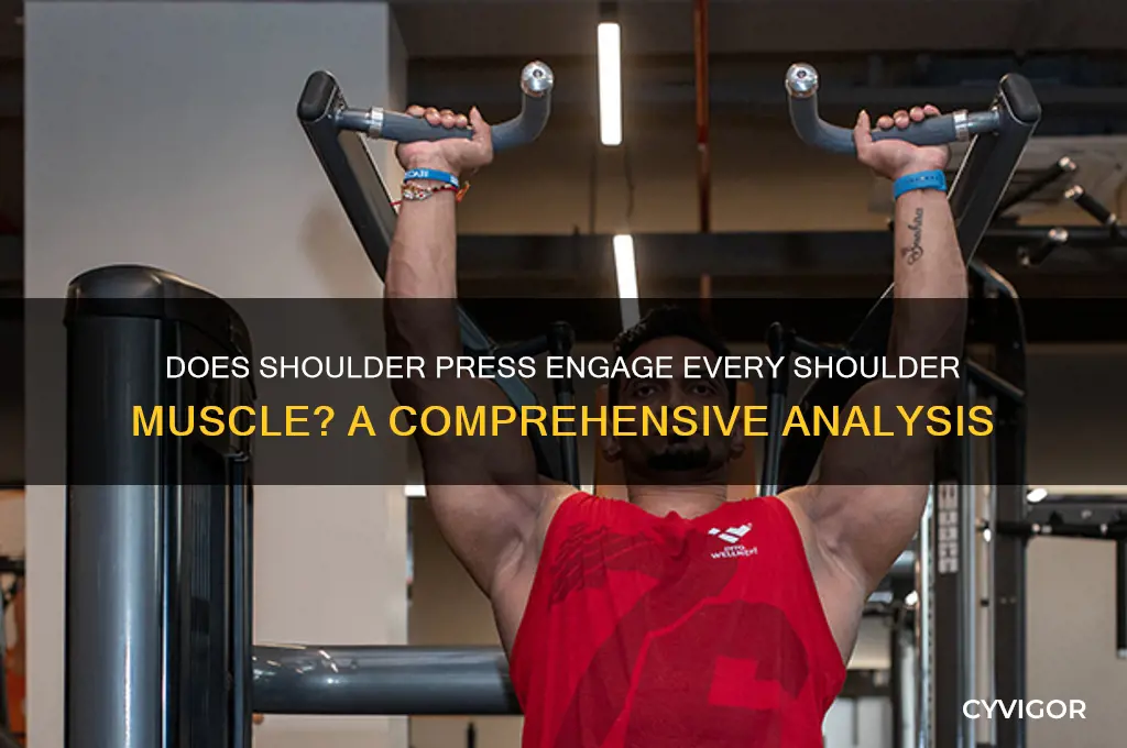 Does Shoulder Press Engage Every Shoulder Muscle? A Comprehensive ...