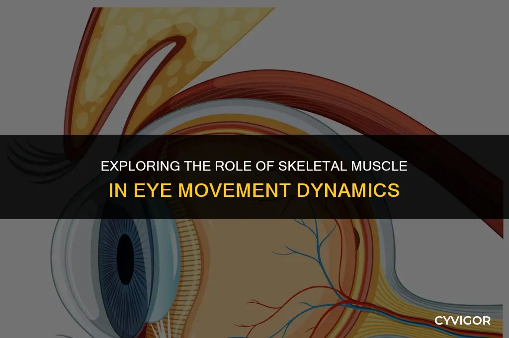 Exploring The Role Of Skeletal Muscle In Eye Movement Dynamics | CyVigor