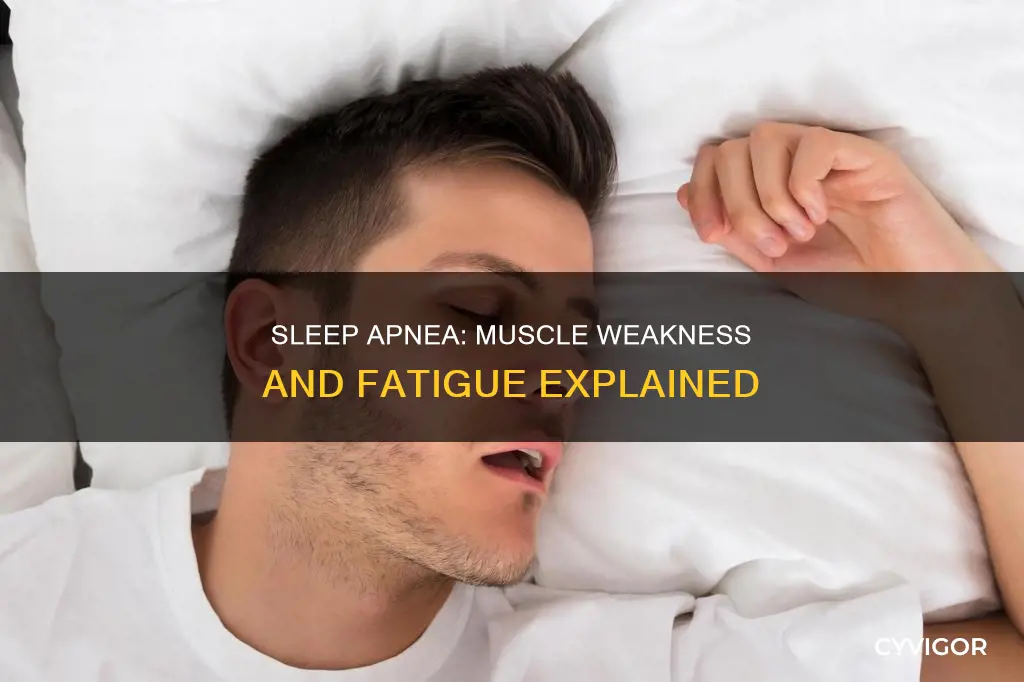Sleep Apnea: Muscle Weakness And Fatigue Explained | CyVigor