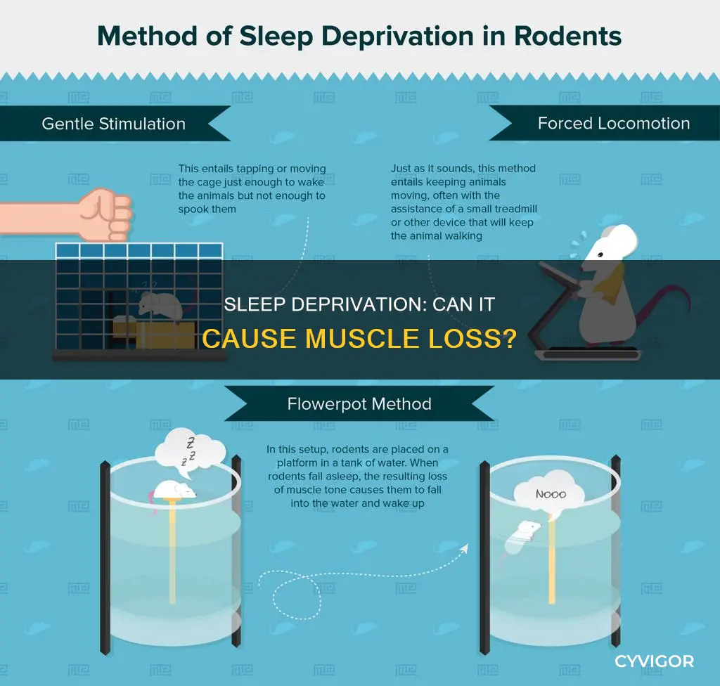 Sleep Deprivation: Can It Cause Muscle Loss? | CyVigor