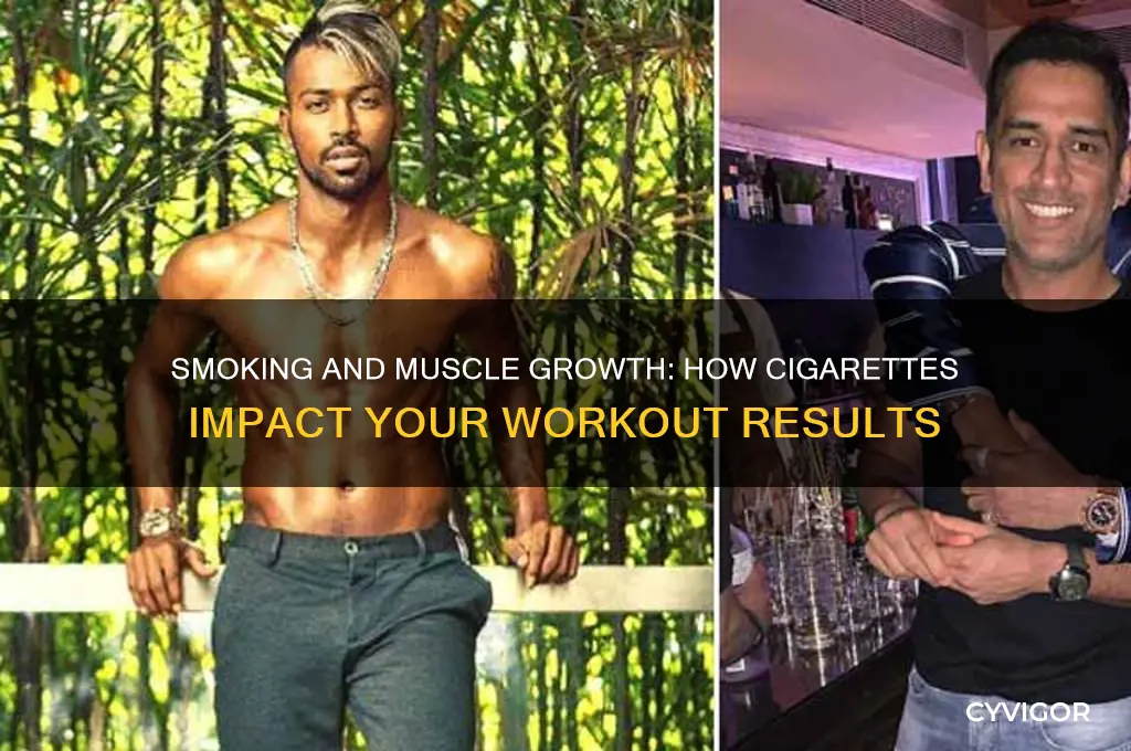 Smoking And Muscle Growth: How Cigarettes Impact Your Workout Results ...