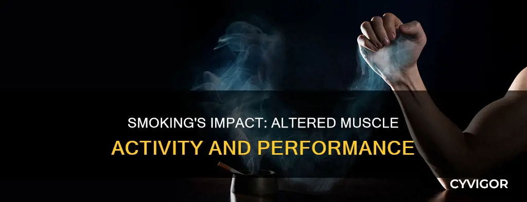 Smoking's Impact: Altered Muscle Activity And Performance | CyVigor