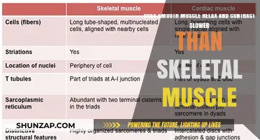Sodium's Role In Muscle Contraction And Relaxation Explained | CyVigor