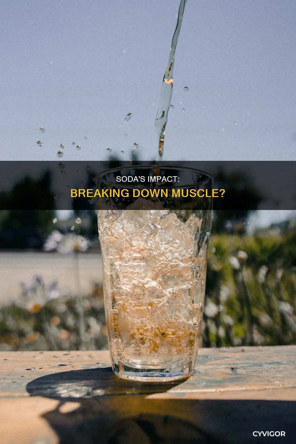 Soda's Impact: Breaking Down Muscle? | CyVigor