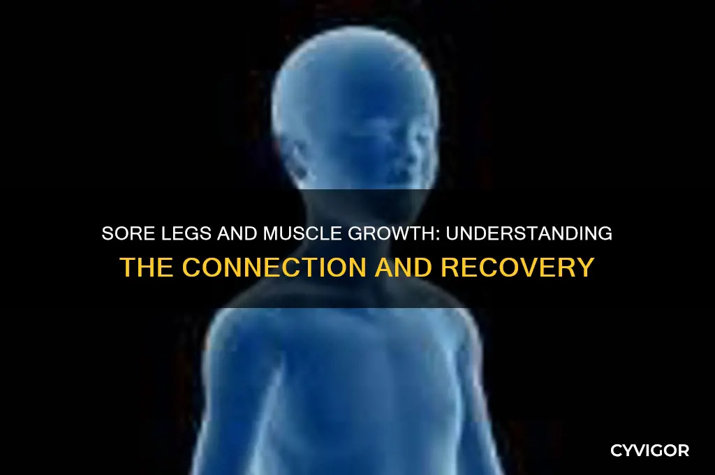 Sore Legs And Muscle Growth: Understanding The Connection And Recovery ...