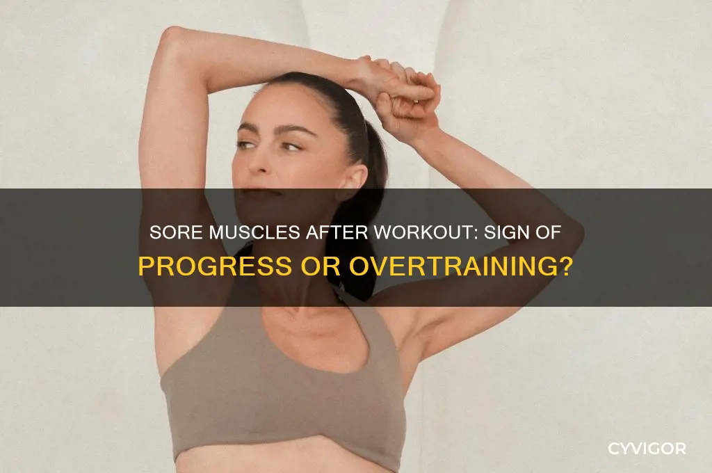 Sore Muscles After Workout: Sign Of Progress Or Overtraining? | CyVigor