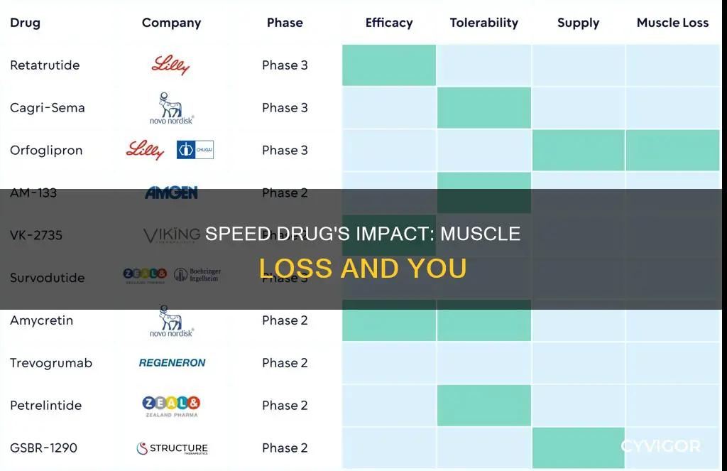 Speed Drug's Impact: Muscle Loss And You | CyVigor