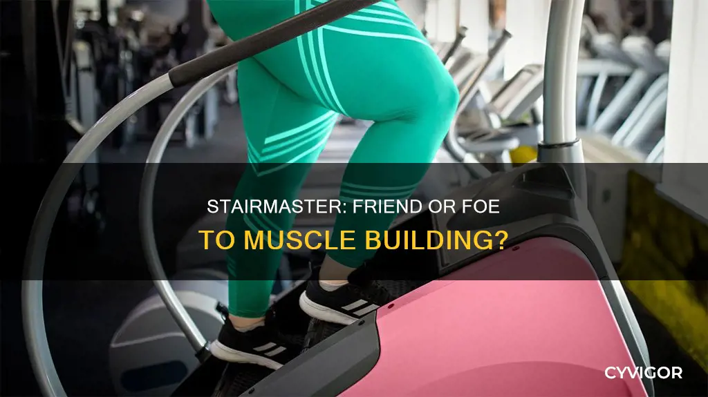 Stairmaster: Friend Or Foe To Muscle Building? | CyVigor