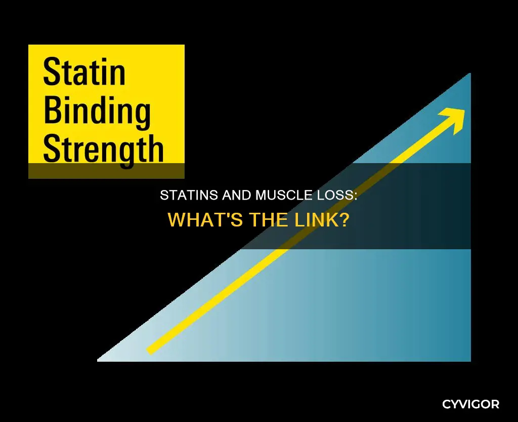 Statins And Muscle Loss: What's The Link? | CyVigor