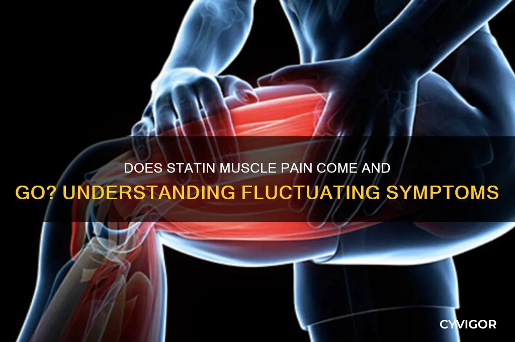 Does Statin Muscle Pain Come And Go? Understanding Fluctuating Symptoms ...