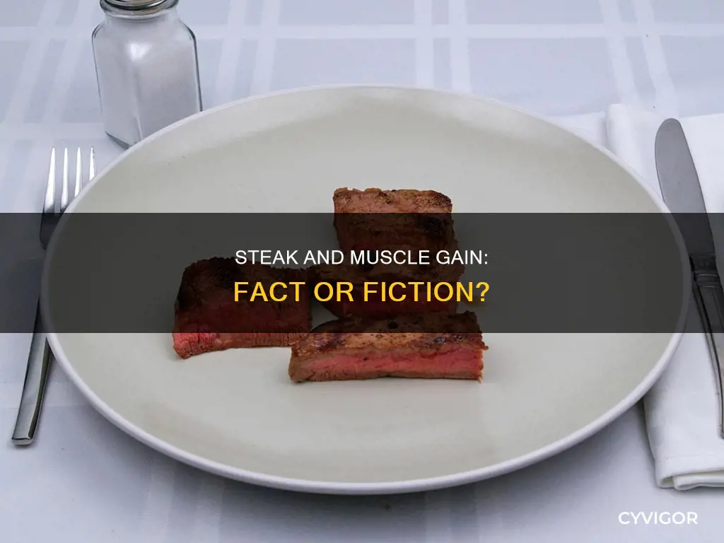 Steak And Muscle Gain: Fact Or Fiction? | CyVigor