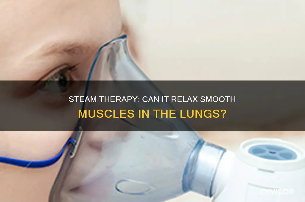 Steam Therapy: Can It Relax Smooth Muscles In The Lungs? | CyVigor