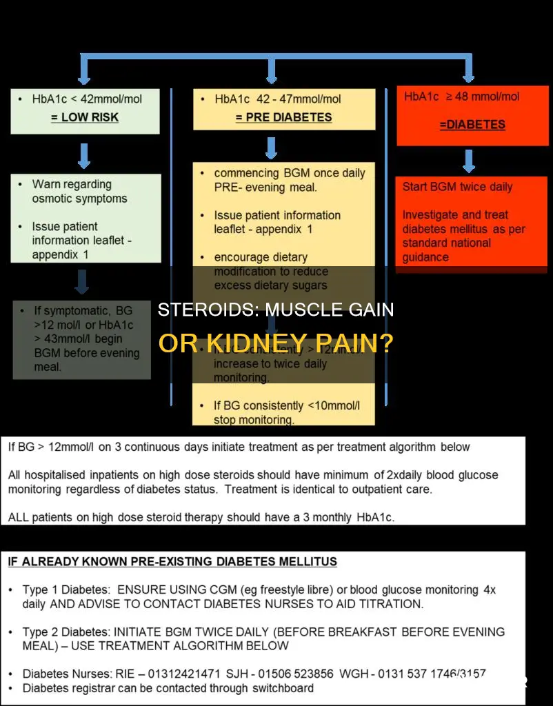 Steroids: Muscle Gain Or Kidney Pain? | CyVigor