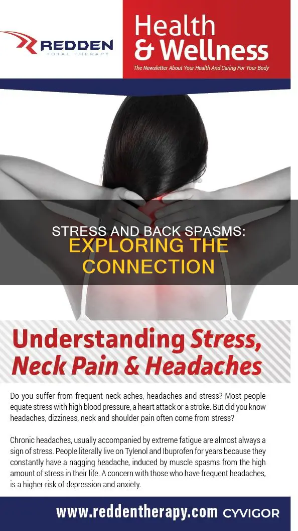 Stress And Back Spasms: Exploring The Connection | CyVigor