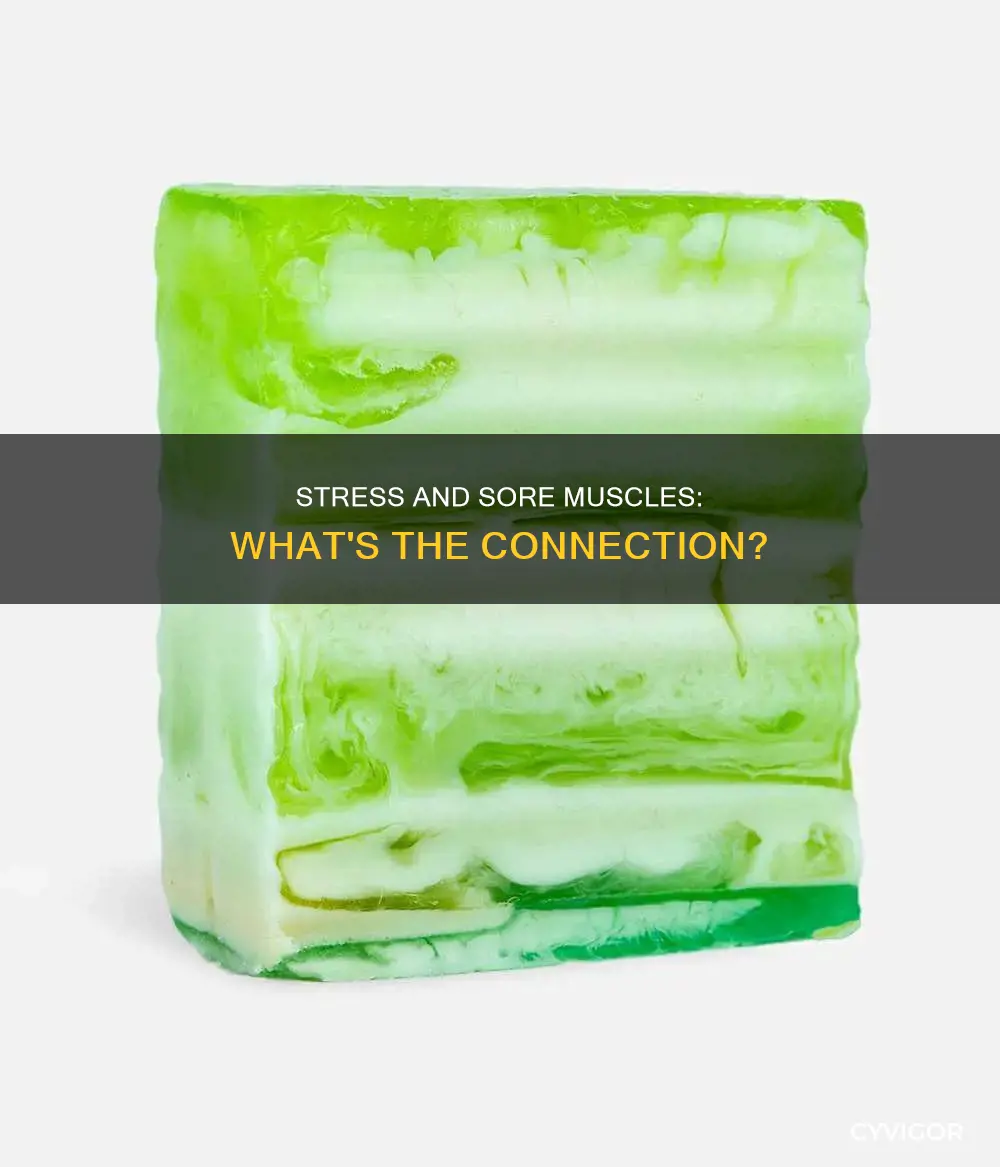 Stress And Sore Muscles: What's The Connection? | CyVigor