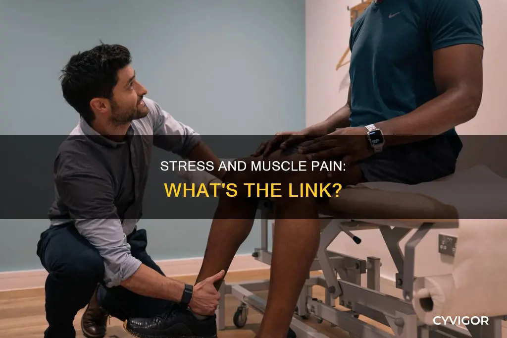 Stress And Muscle Pain: What's The Link? | CyVigor