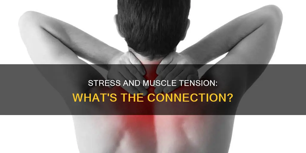 Stress And Muscle Tension: What's The Connection? | CyVigor