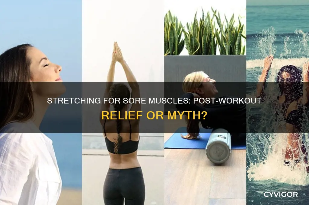 Stretching For Sore Muscles: Post-Workout Relief Or Myth? | CyVigor