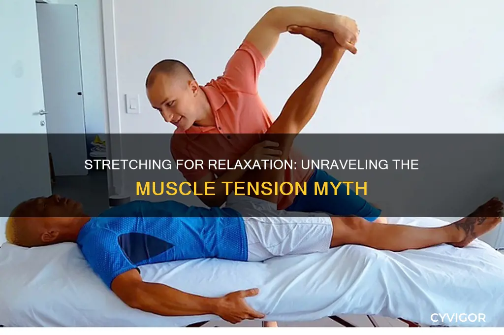 Stretching For Relaxation: Unraveling The Muscle Tension Myth | CyVigor