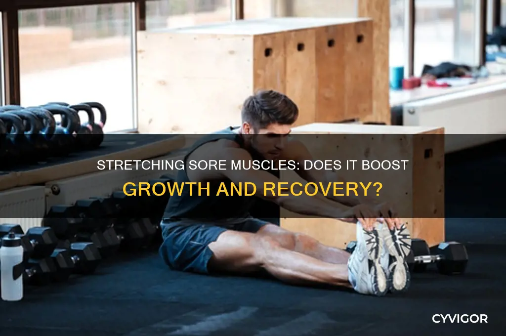 Stretching Sore Muscles: Does It Boost Growth And Recovery? | CyVigor