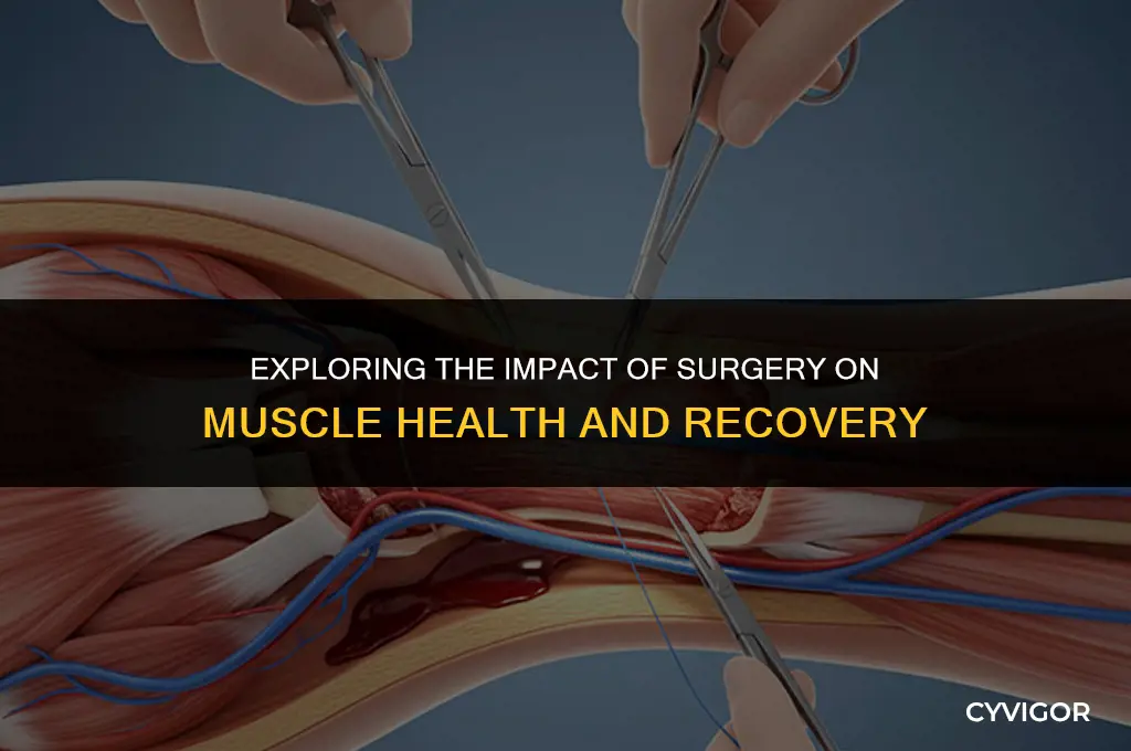 Exploring The Impact Of Surgery On Muscle Health And Recovery | CyVigor