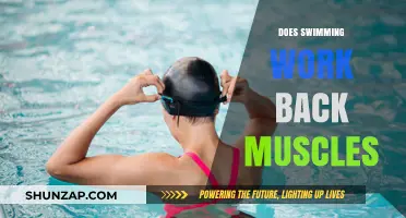 Swimming And Abs: How Effective Is It For Core Strength? | CyVigor